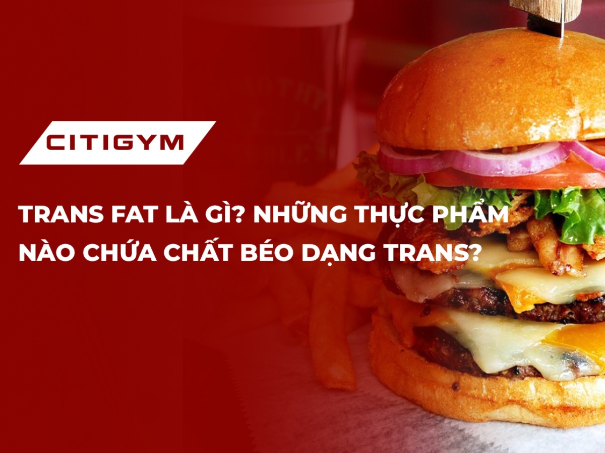 Cập nhật các khuyến mãi CITIGYM và lời khuyên tập luyện bổ ích