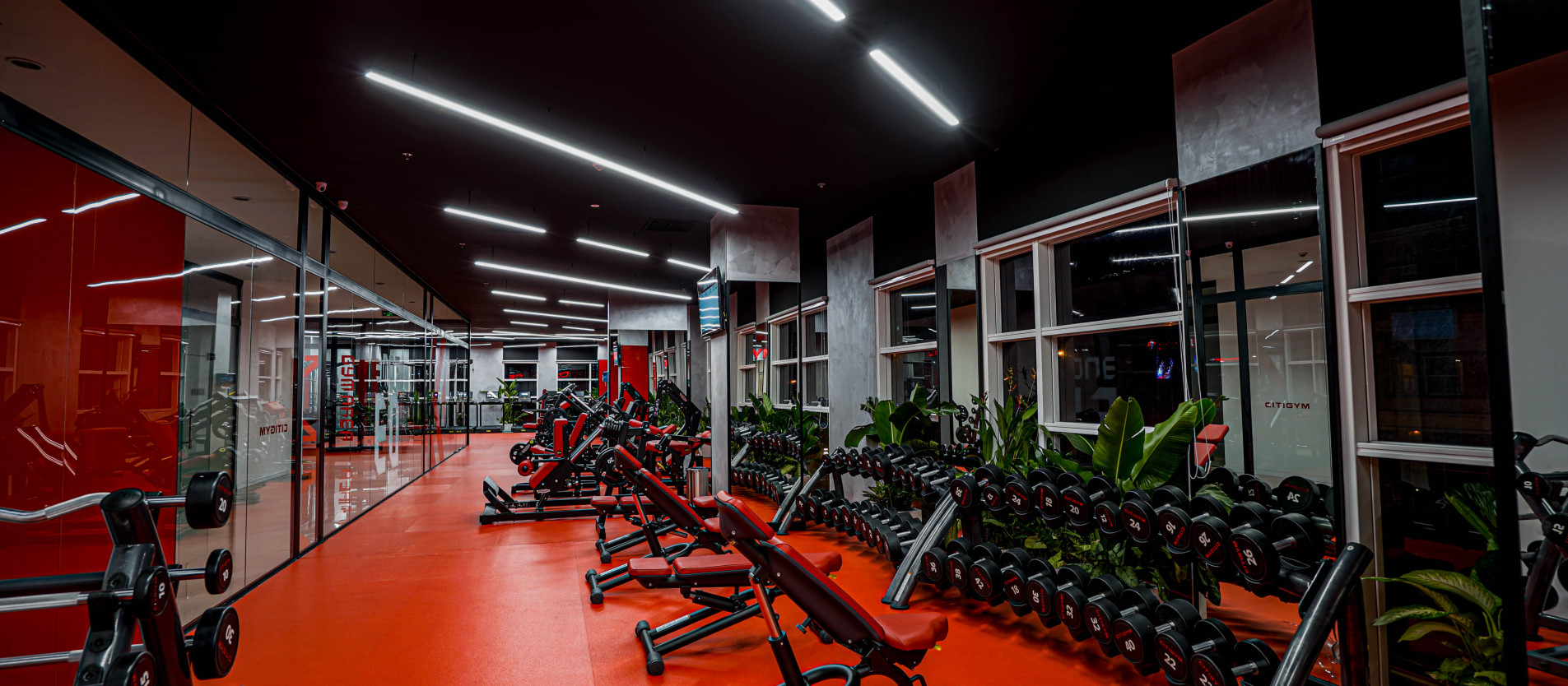 Phòng tập gym Phường Tân Hưng Sunrise South - Nơi tập luyện đẳng cấp ...