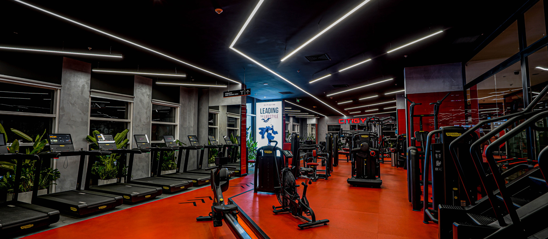 Phòng tập gym Phường Tân Hưng Sunrise South - Nơi tập luyện đẳng cấp ...